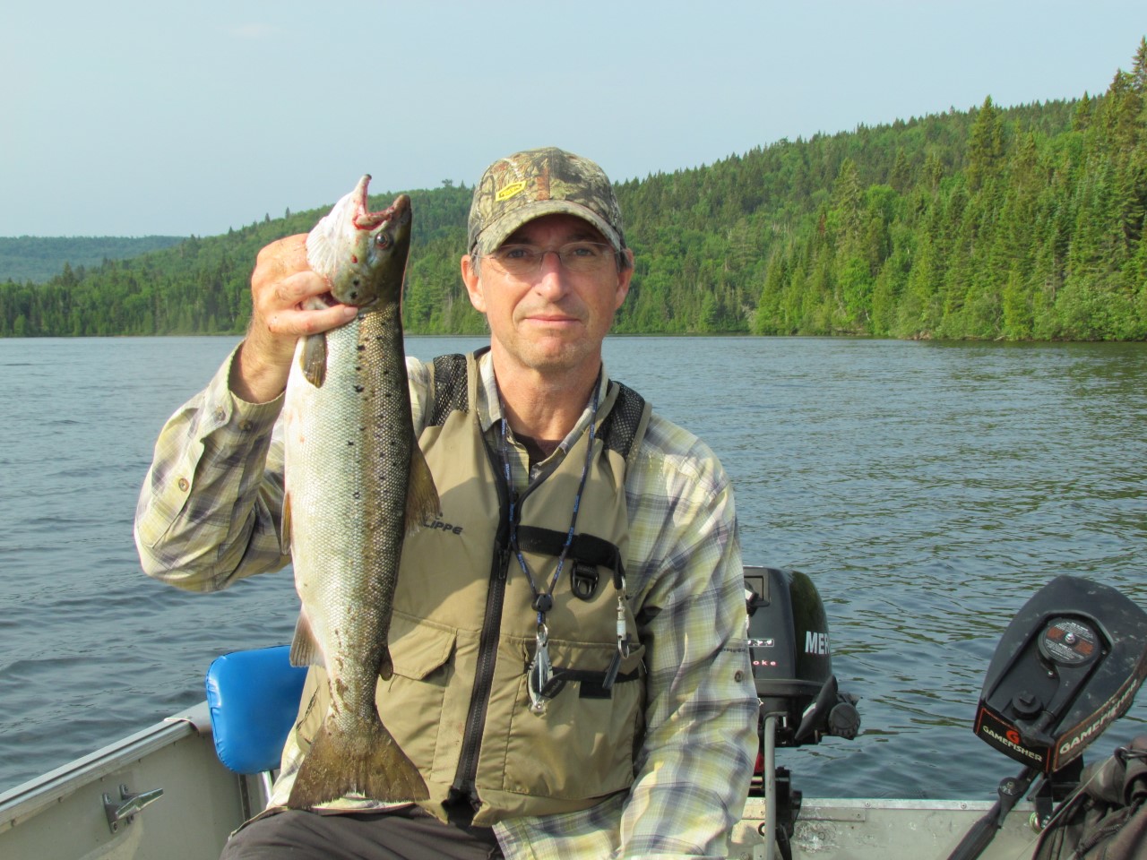 Martin Boily | LibelluleFrank y as d'la bébitte en clic
